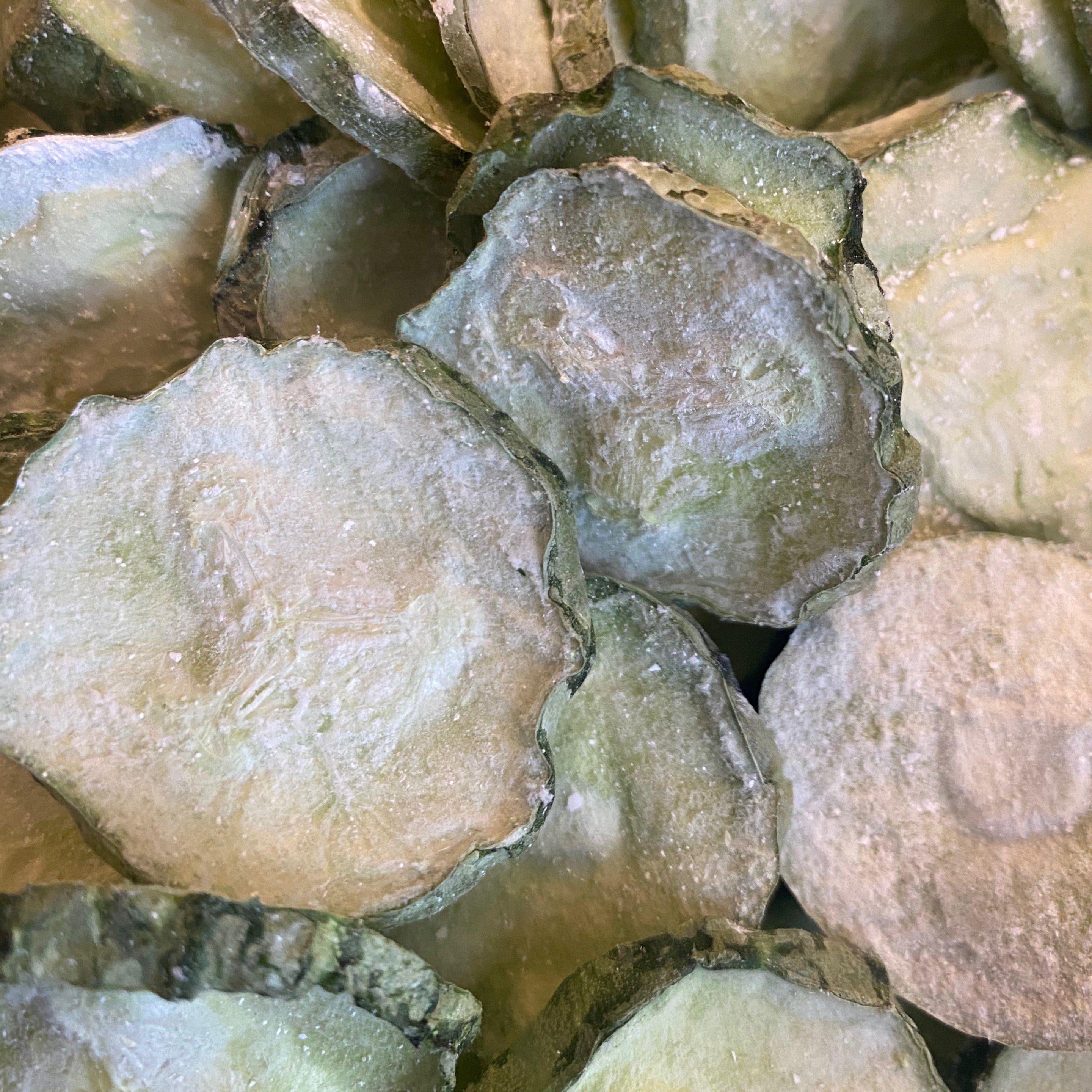 Freeze Dried Organic Sea Salt Cucumbers | Cosmic Frandy